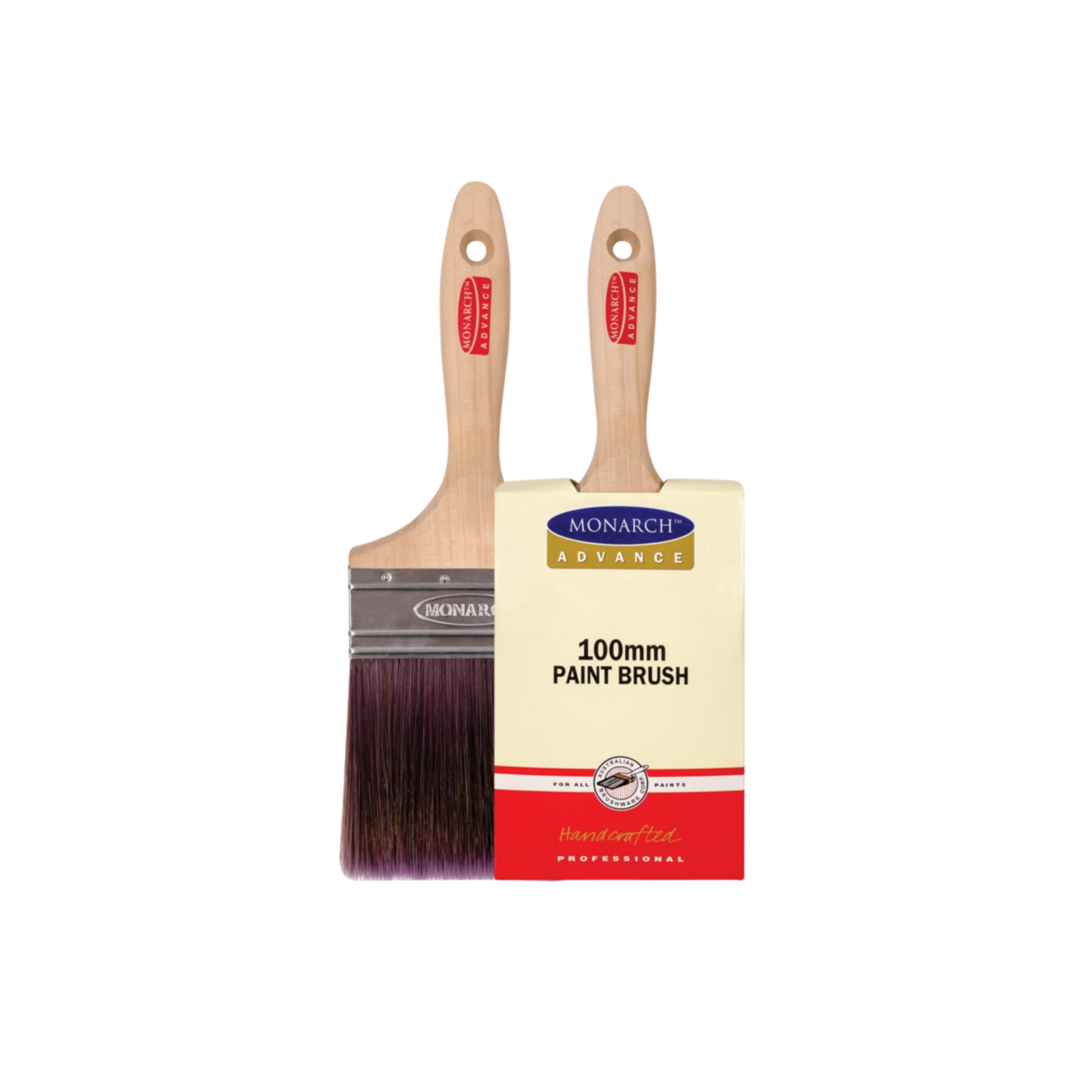 Monarch Advance Paint Brush – Spray Blast Inspect